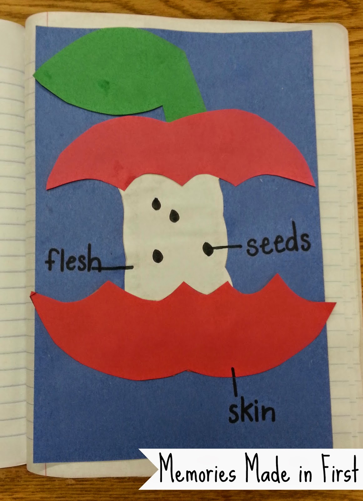 Memories Made in First: Apple Week! Using Schema to Make Connections