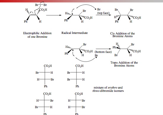 Overcoming Organic Chemistry: Bromination of trans-cinnamic acid