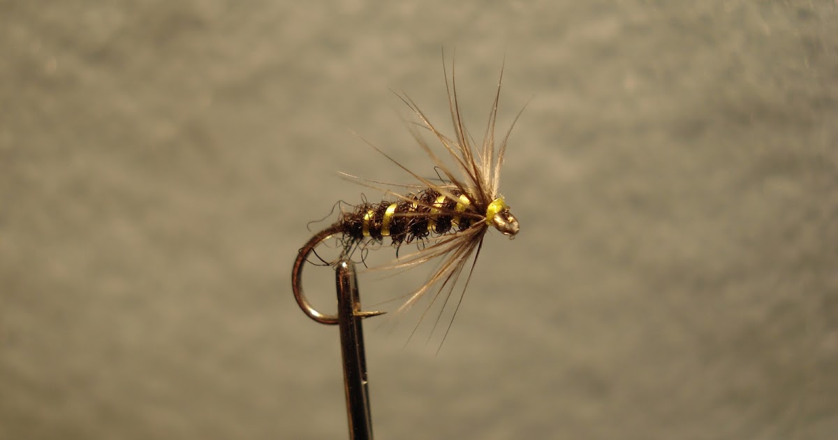 SOFT HACKLES, TIGHT LINES: Waspe Flye; Wasp-flie; Wasp Fly; the Bee