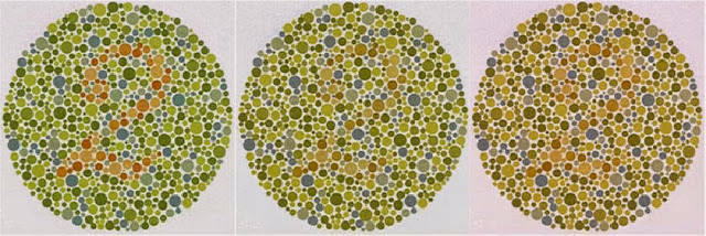 Ideaz : What do colorblind people actually see