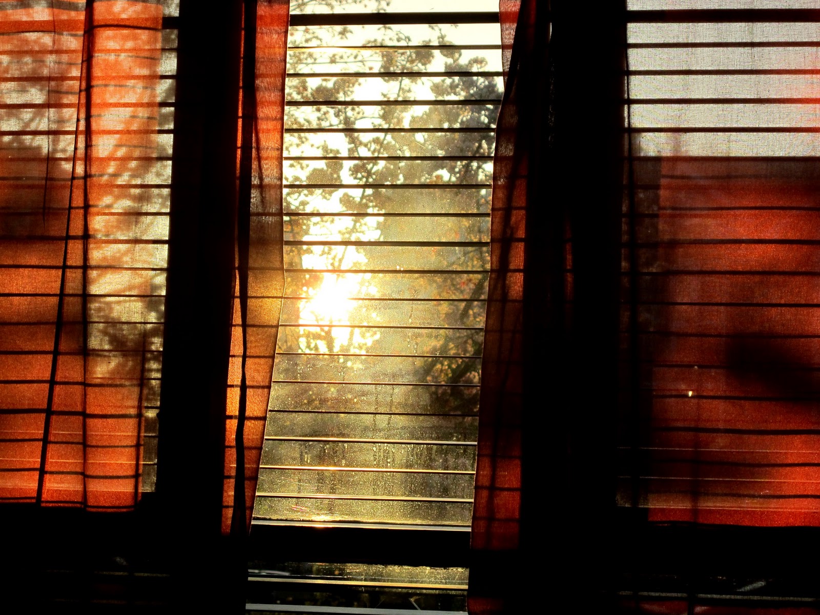 Focussing Imagination: Sunshine through my window