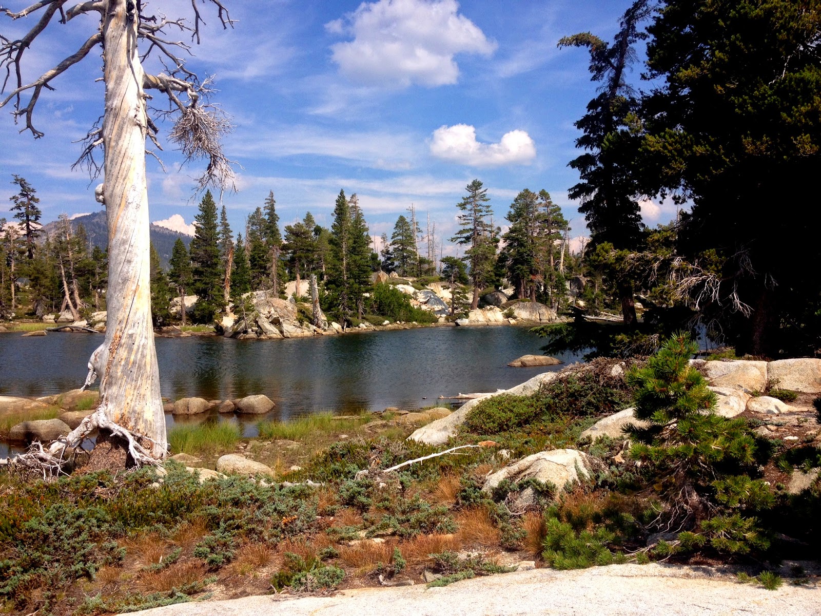 Peachy Hiker: McConnell Lake Loop ~ Primitive Trail ~ in Desolation ...