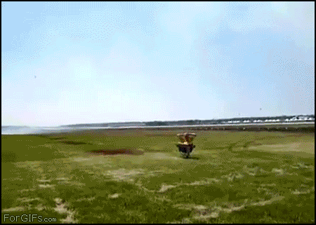 Introducing the New Gifs: Plane Bombing