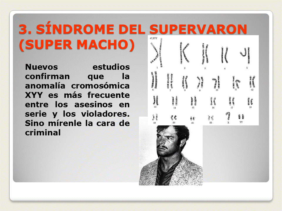 Síndrome Do Super Macho - REVOEDUCA