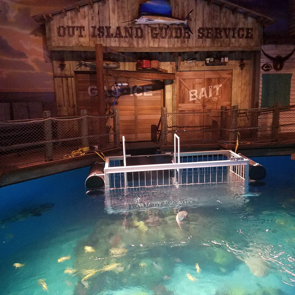 Play St. Louis: Wonders of Wildlife National Museum and Aquarium ...