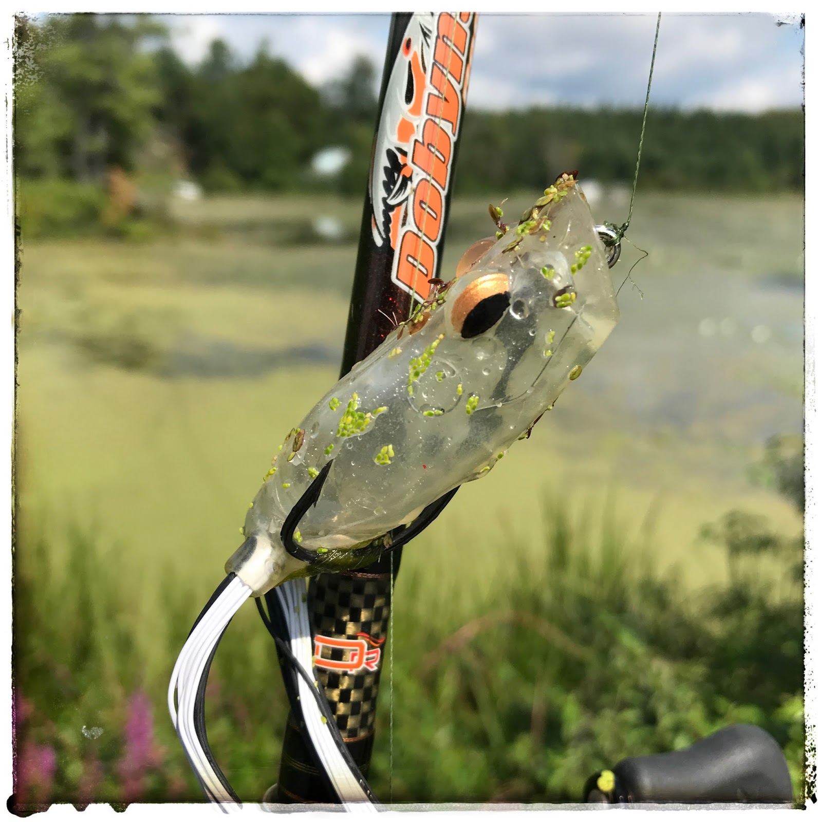 Bass Junkies Frog Pond: Storm XS-Soft Bloop Frog Review