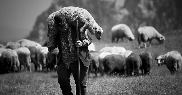 The Parable of the Lost Sheep