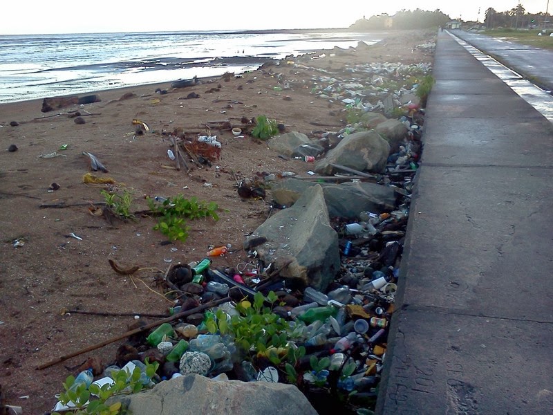 Guyana's Garbage Problem