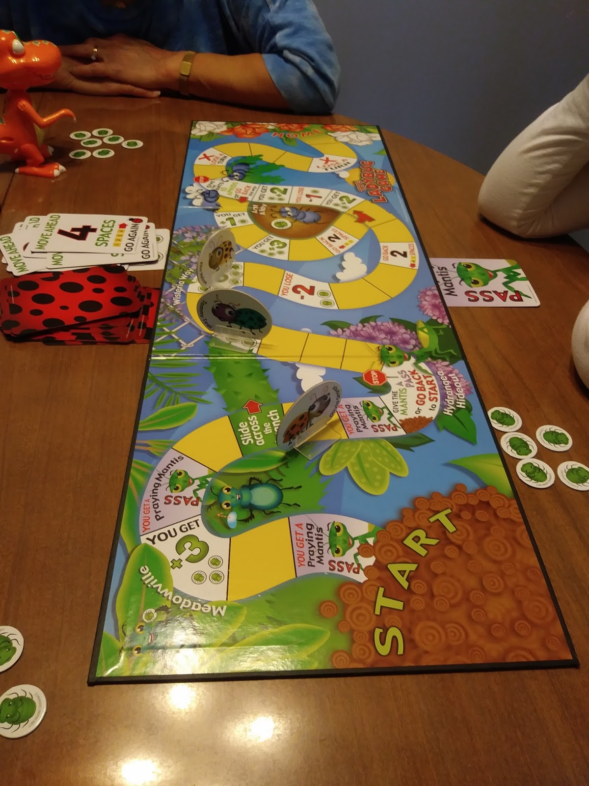 Homeschool and Country Mom: The Ladybug Game Review