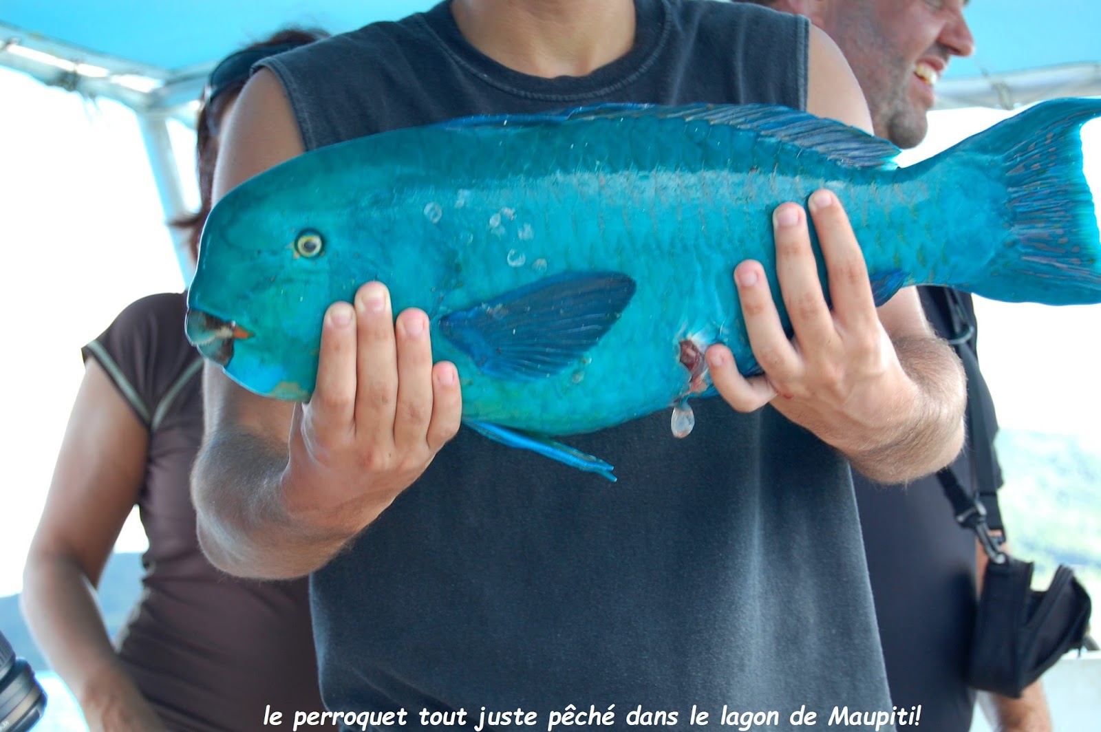 A table les loulouttes !: Filet de poisson perroquet au lait de coco