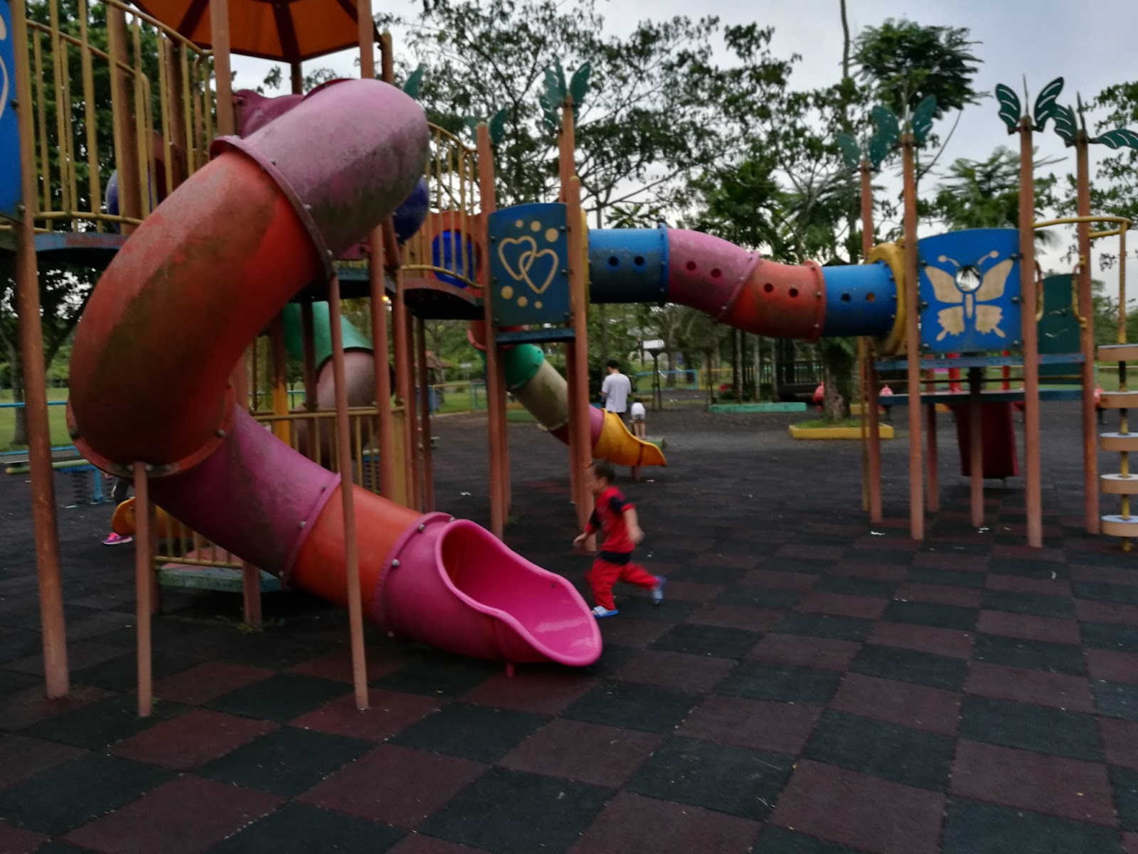 Hutan Bandar Putra, Kulai, Johor