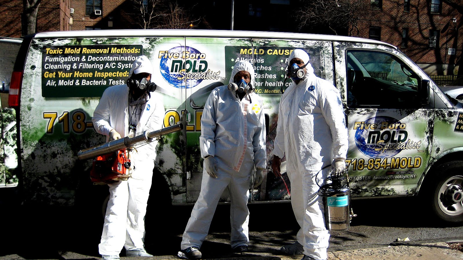 Mold Cleanup Companies - Clean Choices