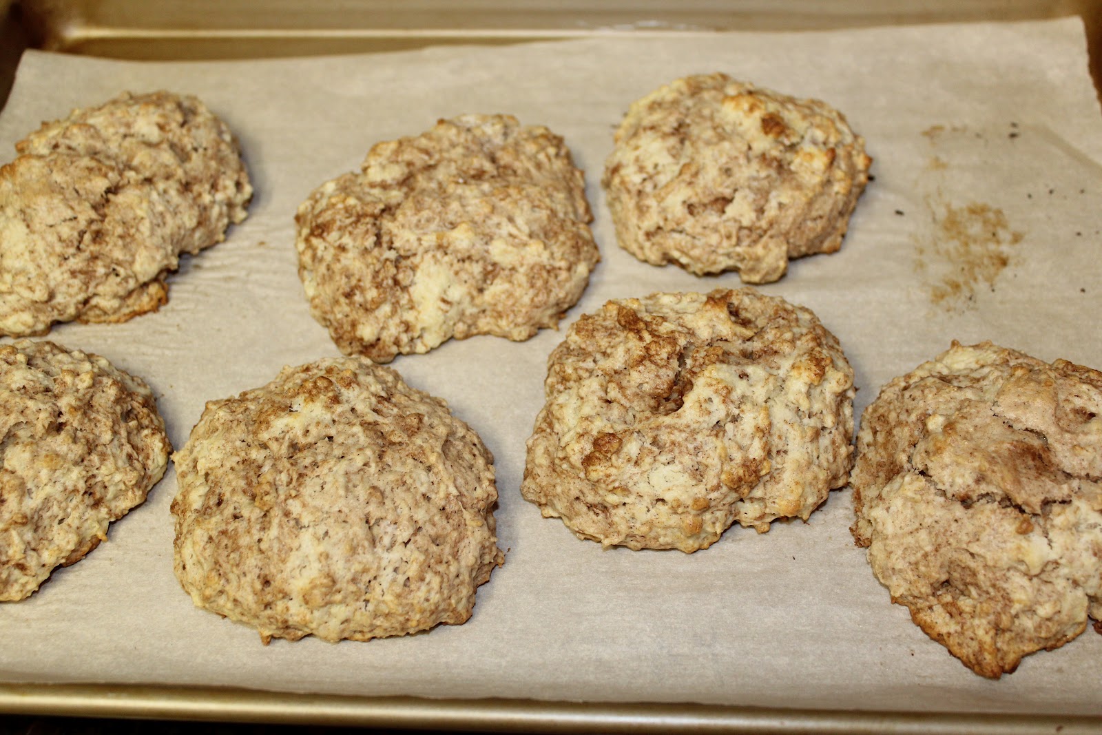 Michelle's Tasty Creations: Cinnamon Sugar Scones