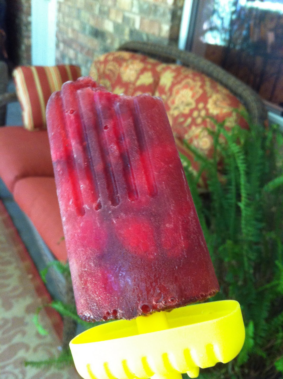CindysCozyKitchen: Hibiscus Raspberry Paletas