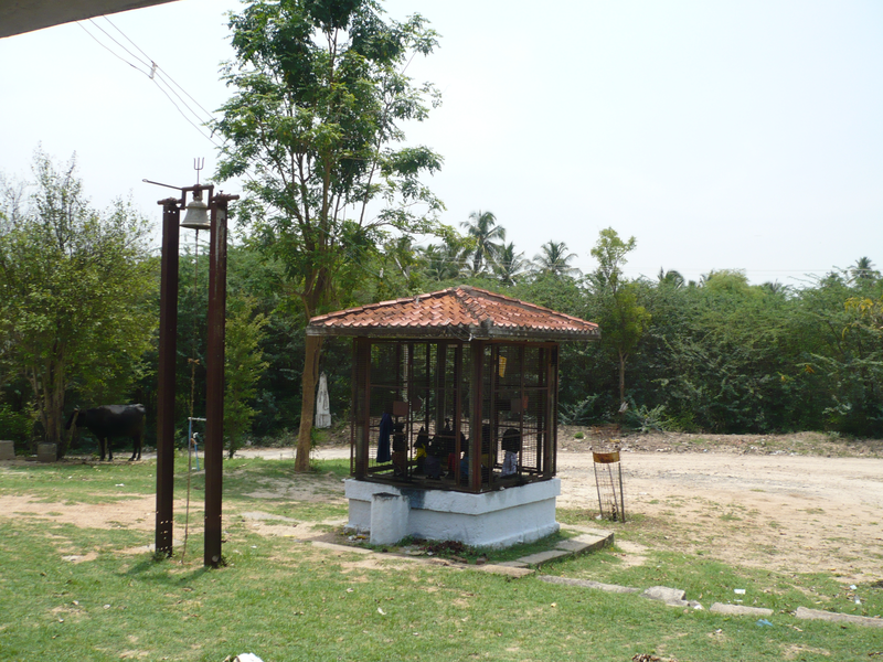 R. Prabhu's Notes: The Lost Heritage - Muttam