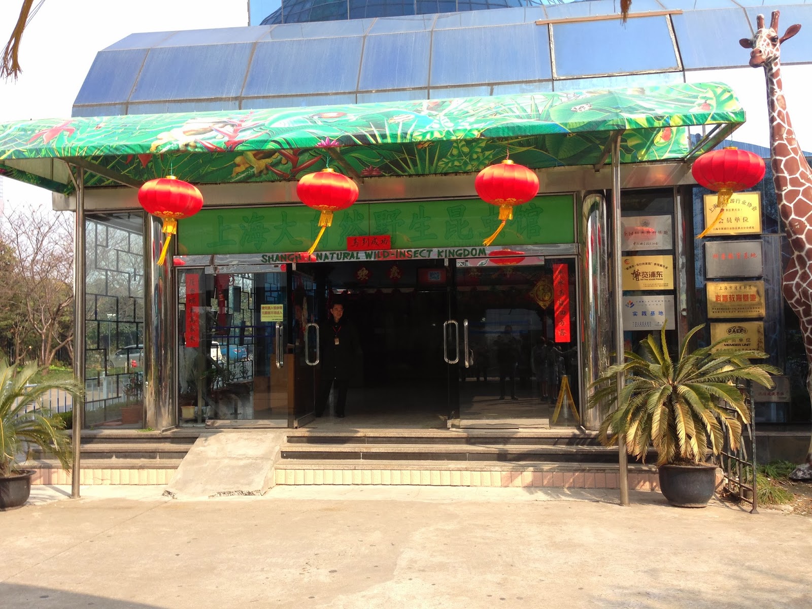 The Shanghai Way: Shanghai Insect Museum