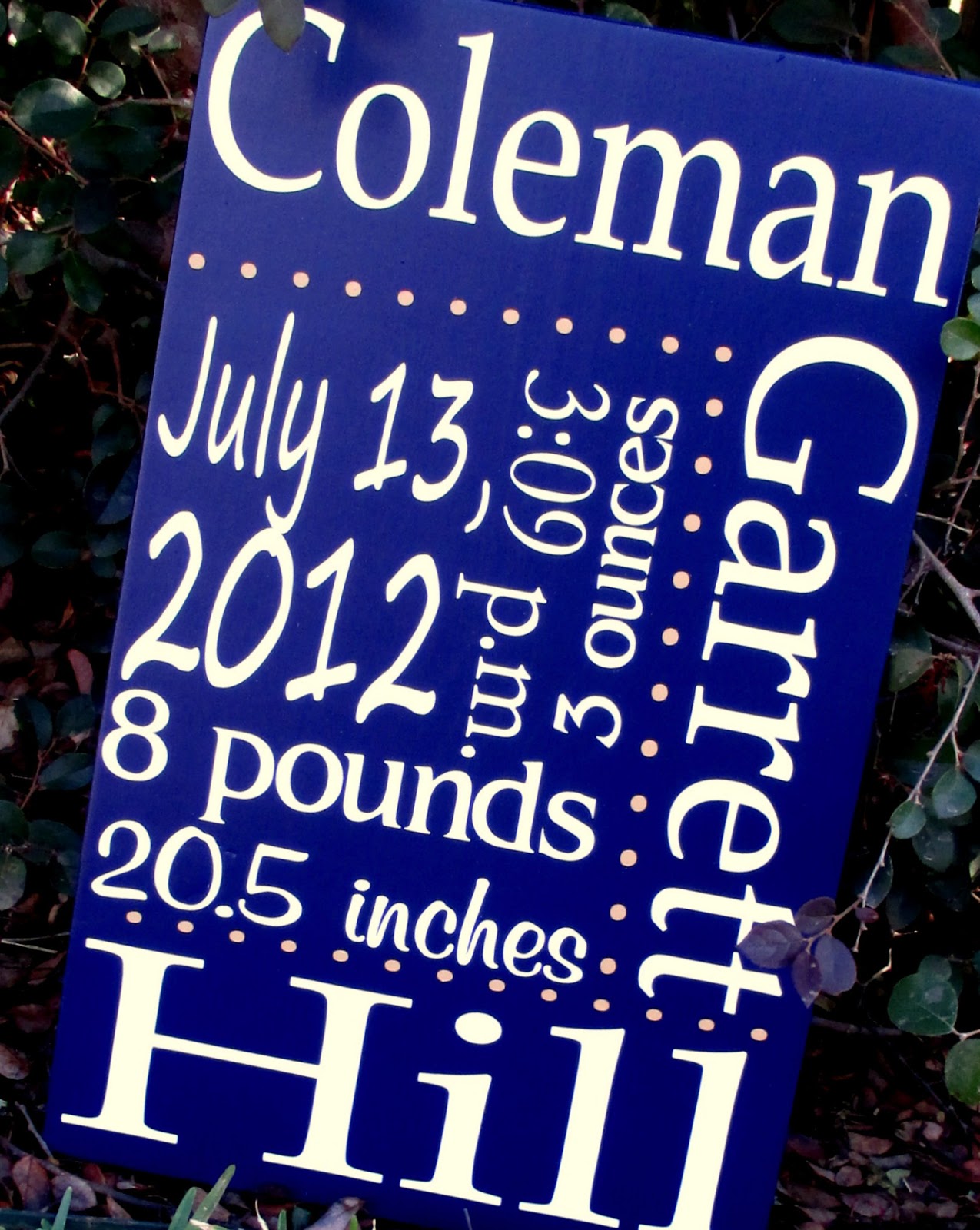 Welcome to Heritage Designs!: Color Choices, Vinyl and Paint