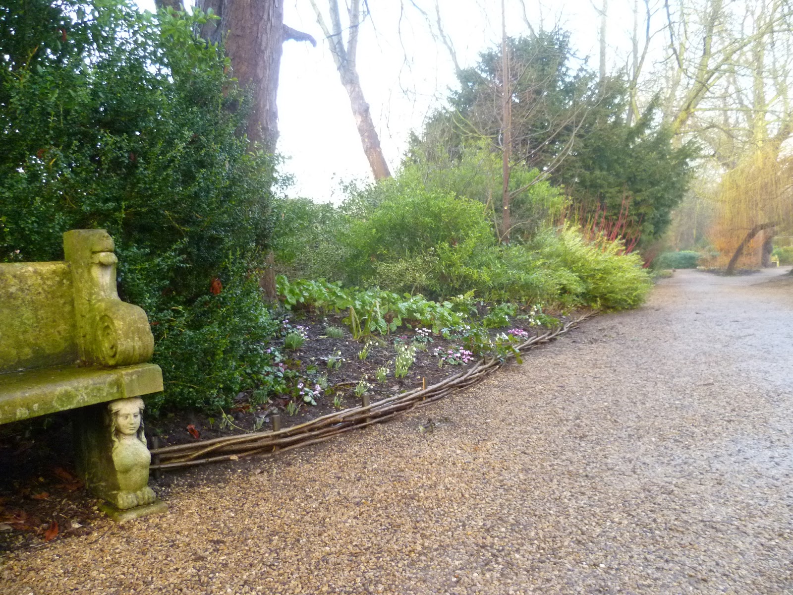 Worcester College Gardeners 2009-2018: Coppicing Hazel And Silver Birch
