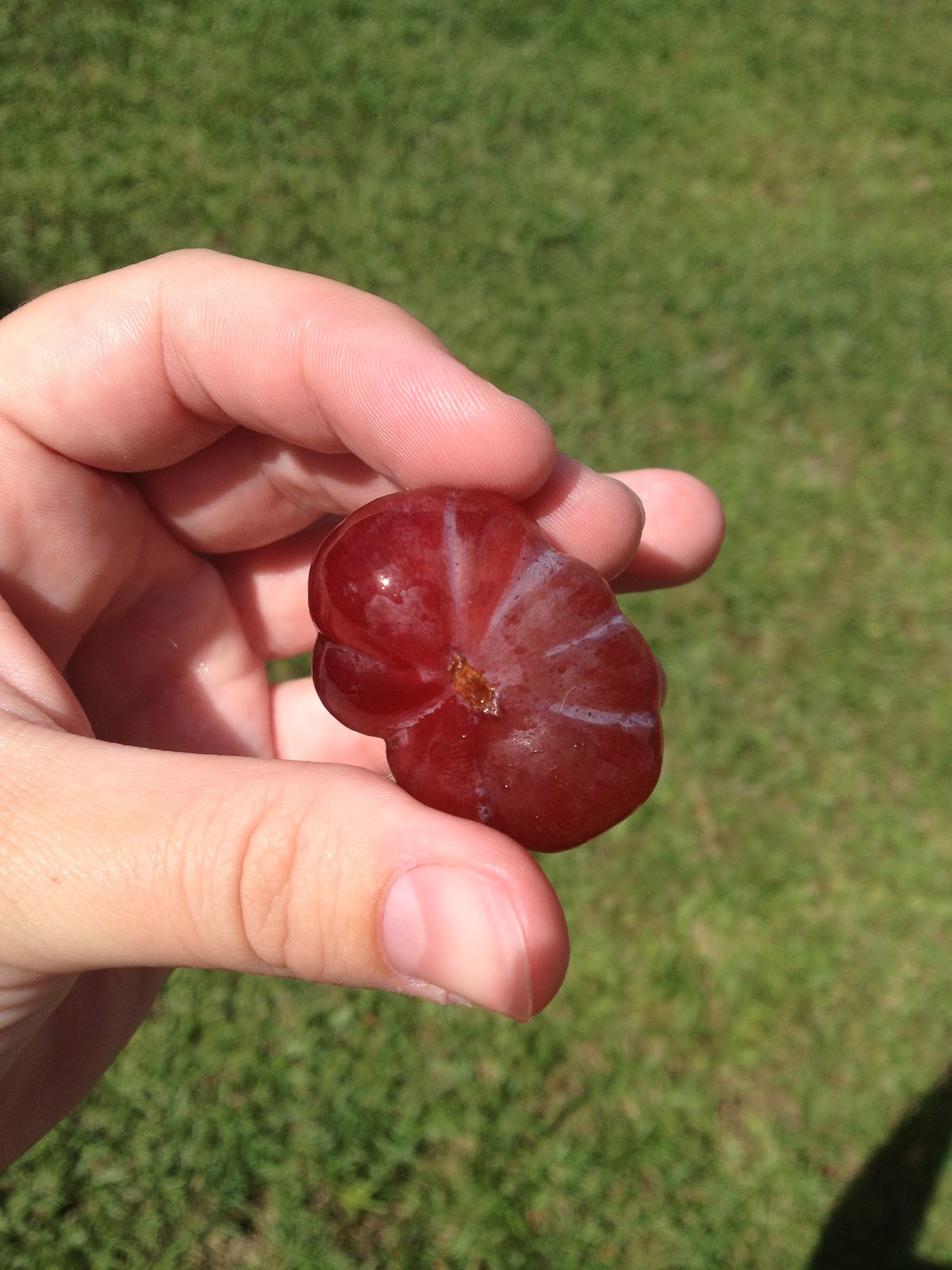 JPRchitect + Design: June 2012