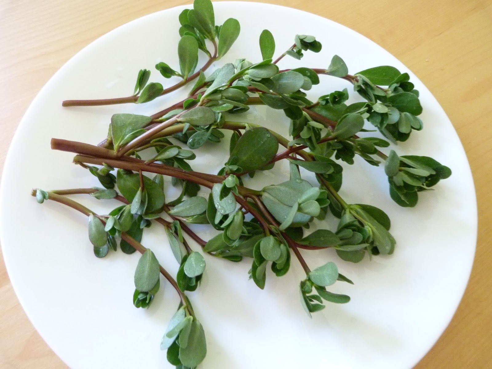 Zelená žaburina: Portulaka zeleninová