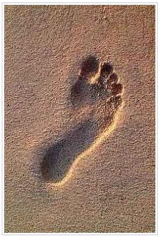 What's The Good Word?: Footprints