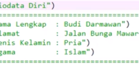Elektronika & Ilmu Komputer: Kode Program Biodata Diri Menggunakan Python