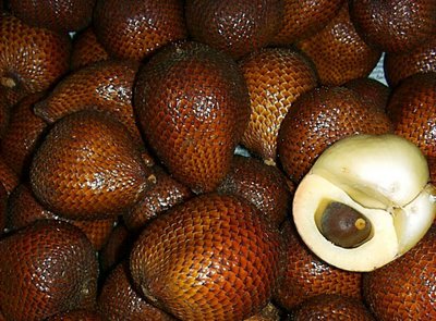Healthy Fruit: SALAK