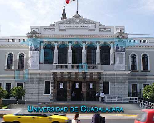 Universidad de Guadalajara (UDG): Plan de Estudio