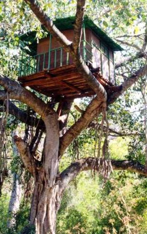 Pictures of Tree Houses and Play Houses From Around The World, Plans ...