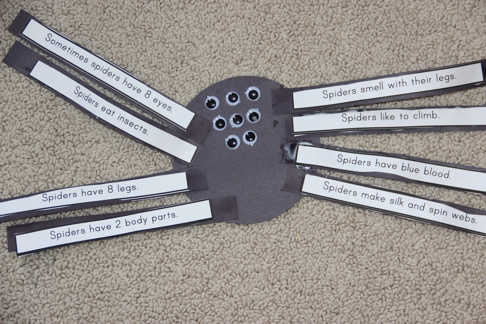 The Johnson Journey: Unit Theme: Spiders