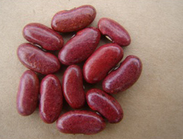 How farmers can double their bean yield production