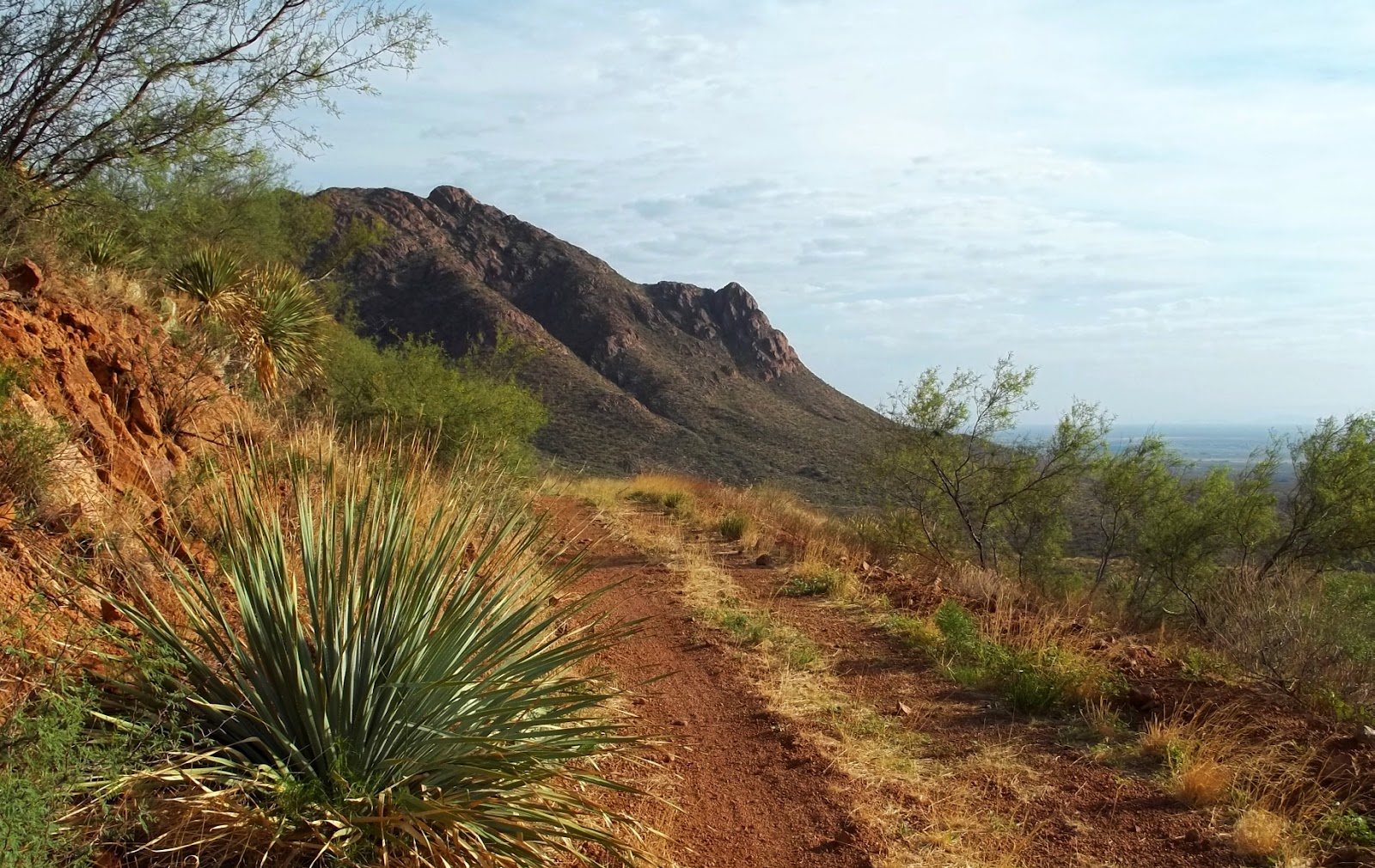 Texas Mountain Trail Daily Photo: Meet Abby Austin, A Peak Fitness ...