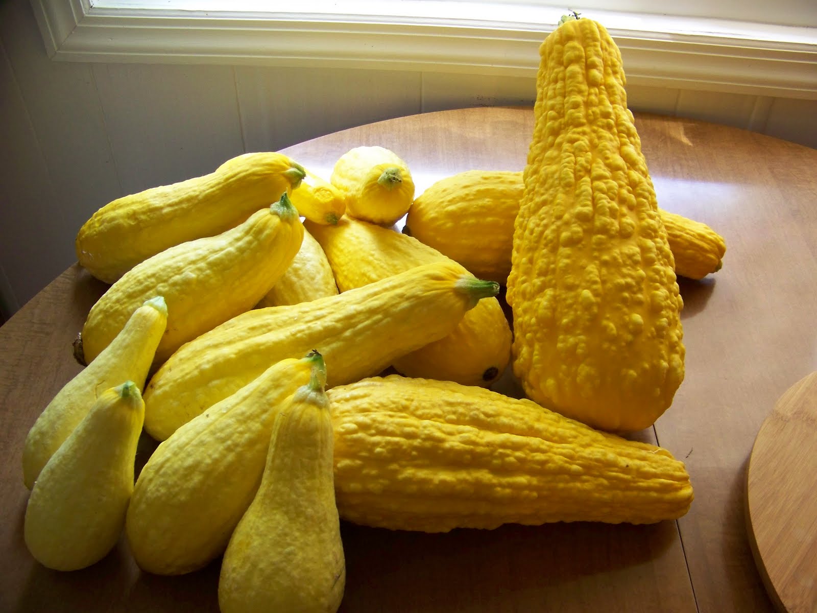 Mountain Creek Soaps Candles & Gifts ~ The Blog: The Attack of the ...