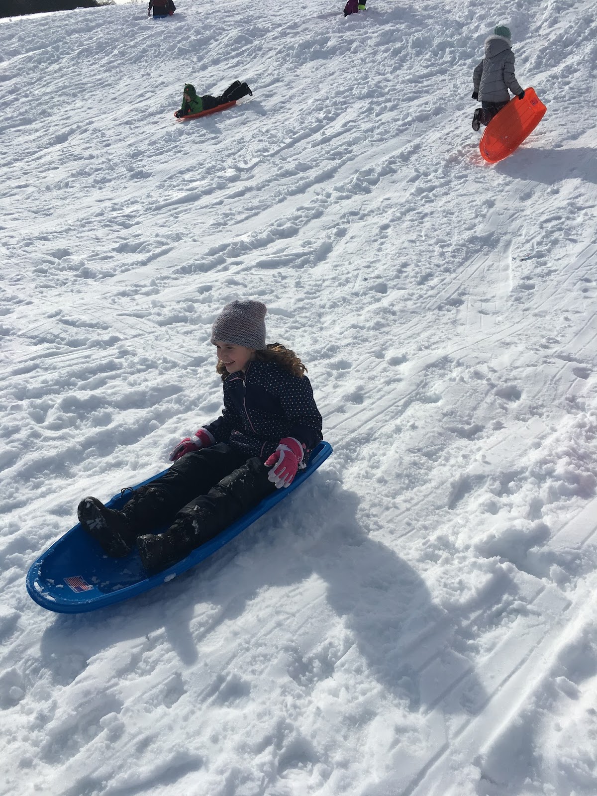 Mrs. Smith's classroom blog: All School Sledding