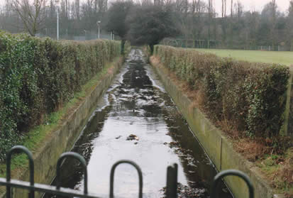 Andrew Simpson: The river Quaggy as it flows through Eltham