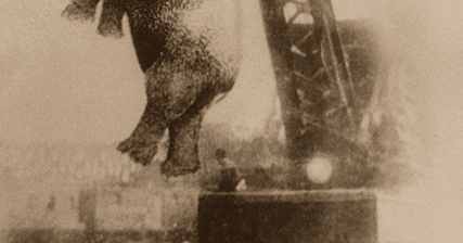 Paranormal Searchers: The town that hanged an elephant – the macabre ...