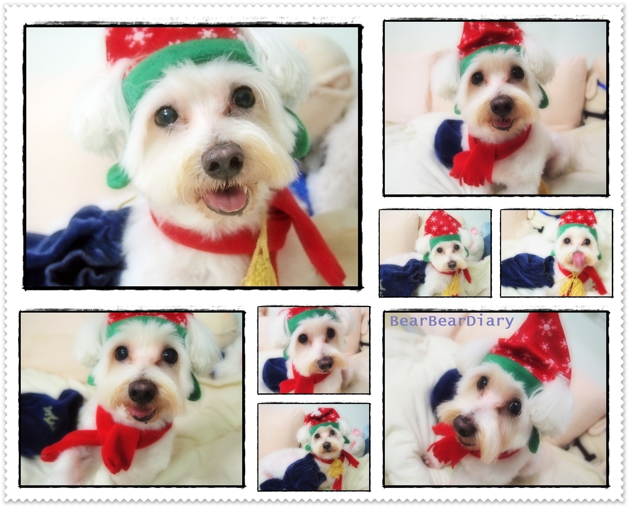 ♥¤.¸¸.·*☆*Bear Bear Diary*★*·.¸¸.¤♥: Santa Xiao Bai