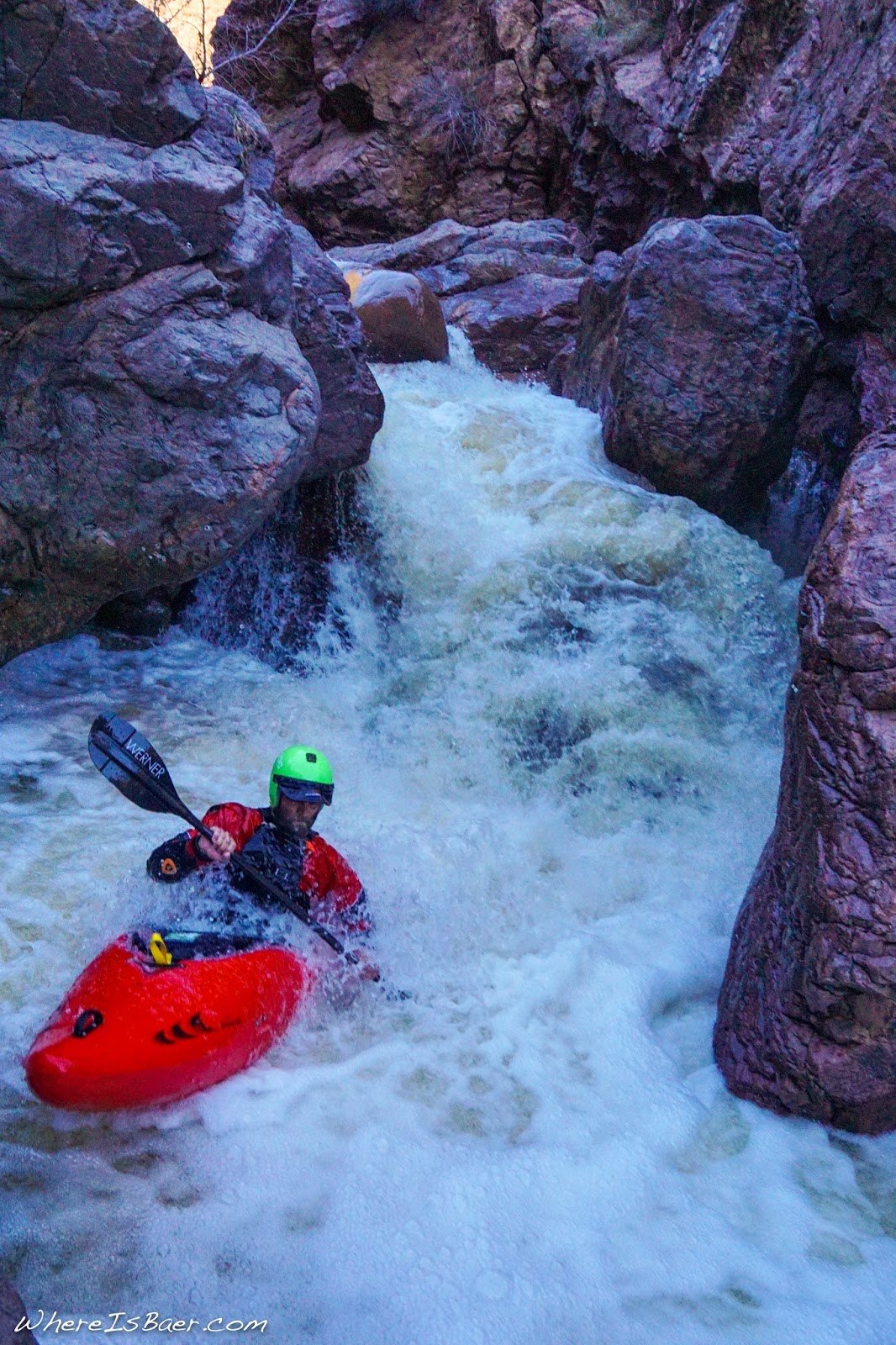Where Is Baer ? : Class Tree in Arizona, Christopher Creek and Hell’s Gate