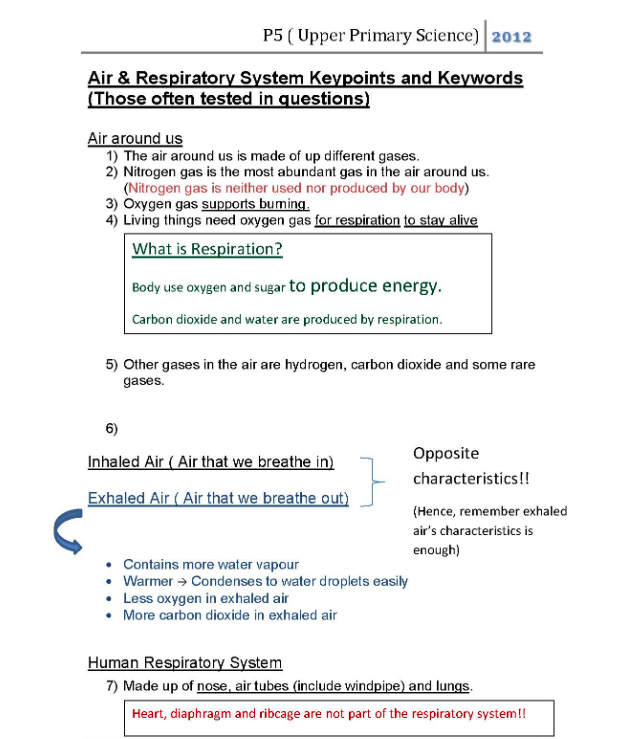 Singapore Syllabus Science Notes: P5 Respiratory system notes