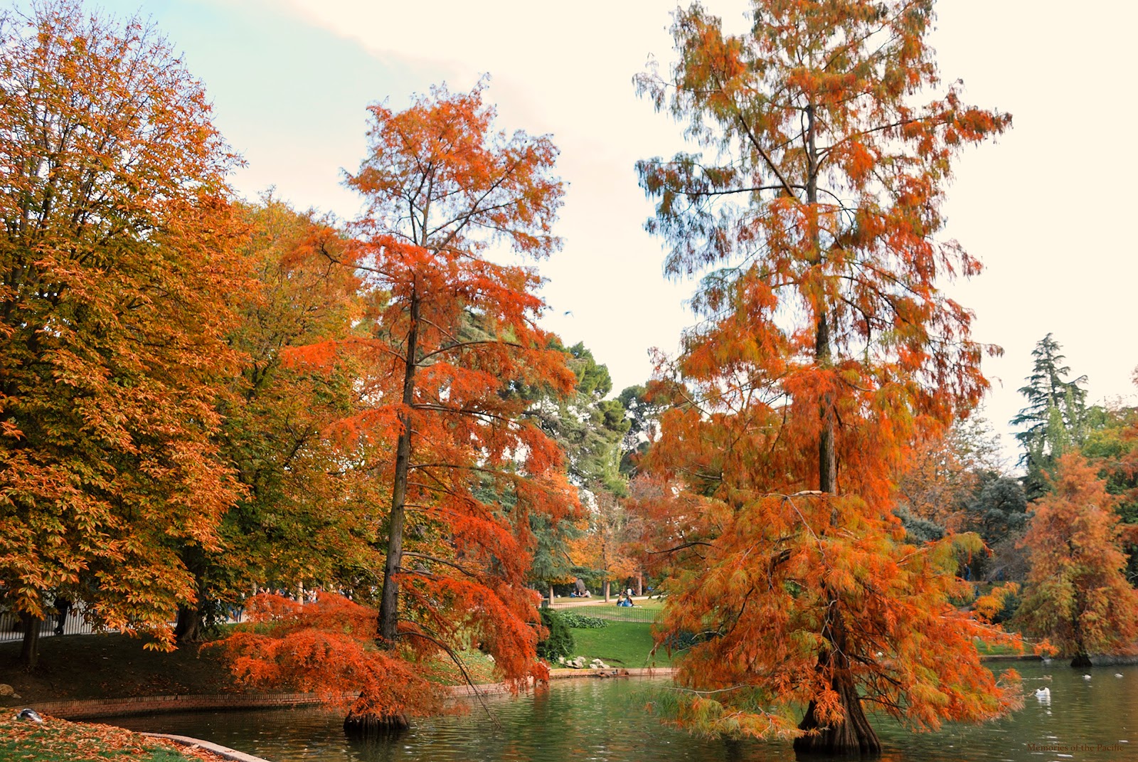 What to do in Madrid this Fall | Memories of the Pacific