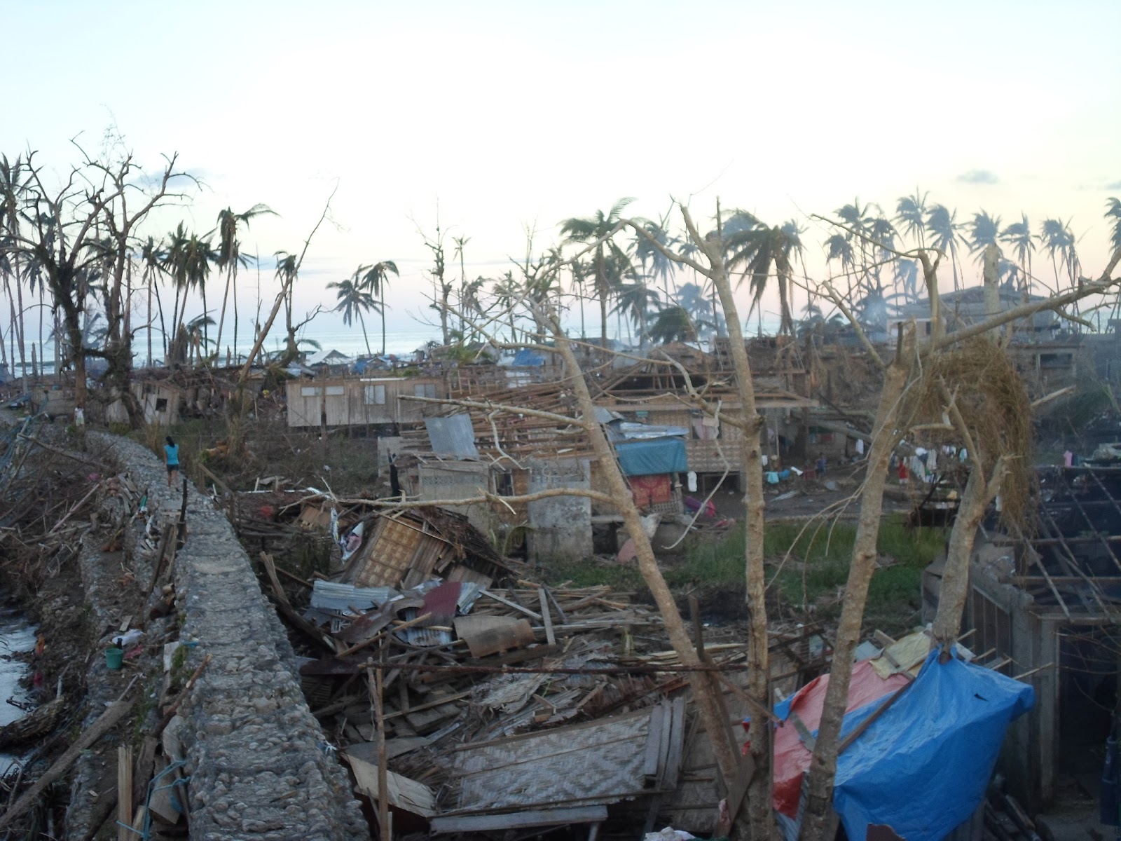 islandscoop: Super Typhoon Pablo: Its Devastating Effects