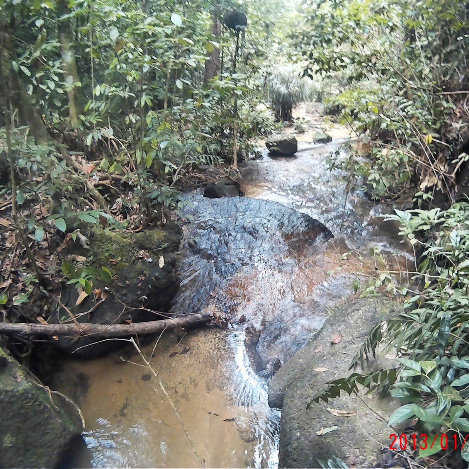 Air Terjun Sungai Putih Bukit Saga / Saga Hill