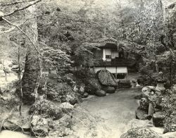 Home Sweet Home: Unique Maple Forest House | Wooden Design - Interior ...