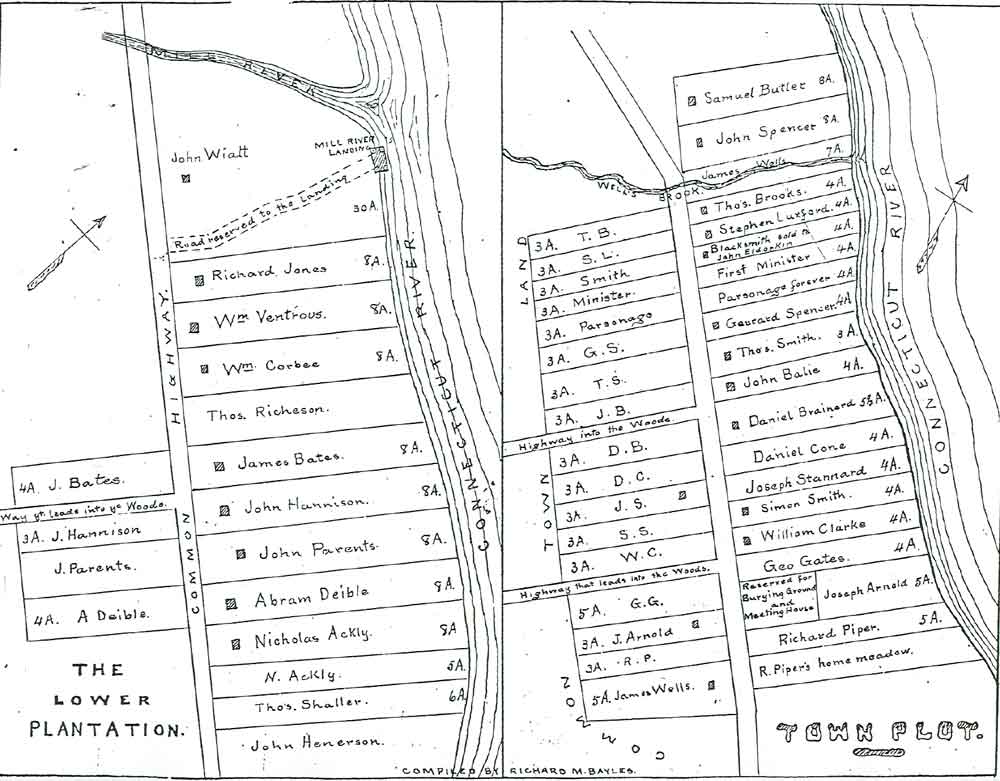 Cone Chronicles: 2012