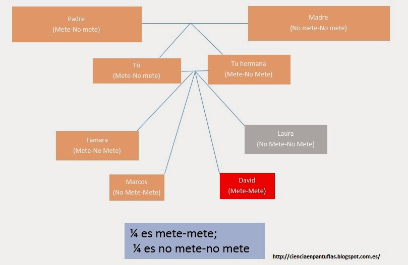¿Cómo que te casas con tu prima? y otros amores consanguíneos ...