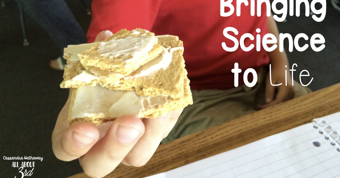 Hands on Science | All About 3rd Grade