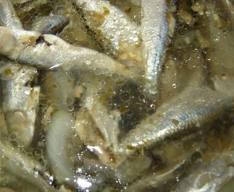 pescuit: marinata de peste