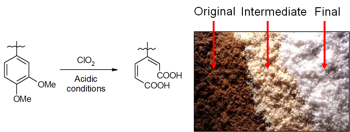 How To Make A Paper? (Chemists' Recipe)