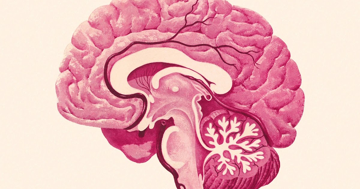 What is Hyperthymestic Syndrome - Health Care Tips and Natural Remedies