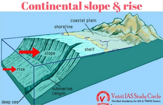 THE RELIEF OF THE OCEAN BASINS - UPSC - TNPSC General Knowledge